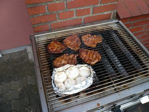 LUG-Camp2012 – PUG